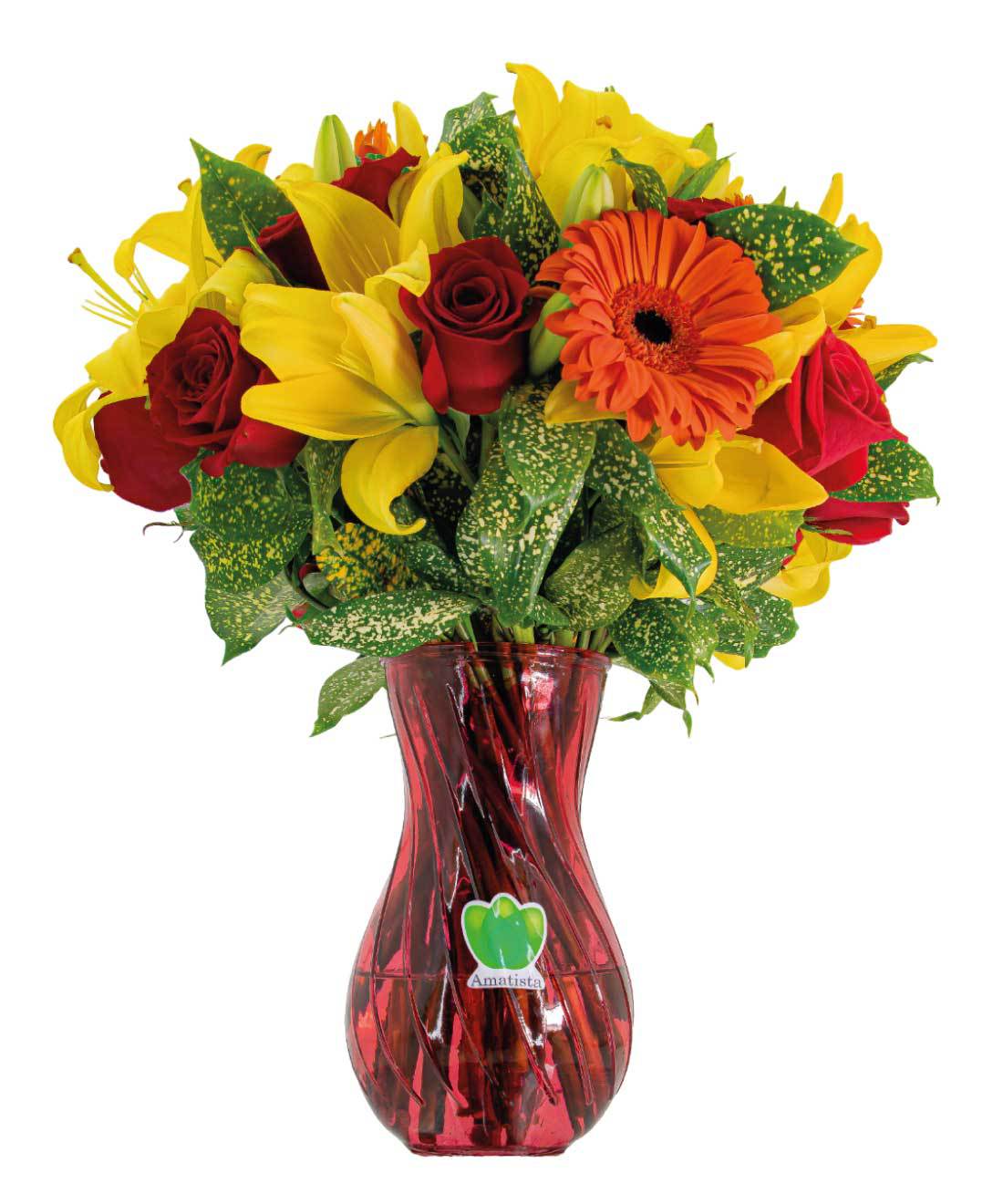 Rosabelle - Floreria Detalles Amatista